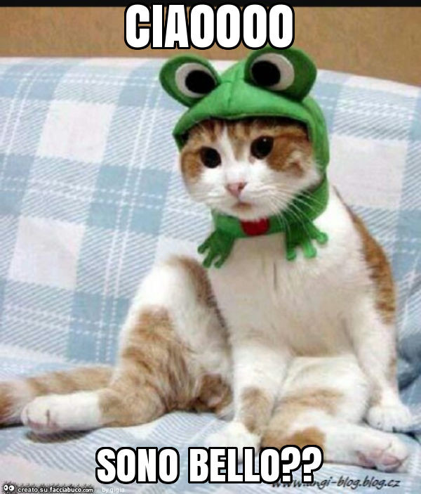 Ciaoooo sono bello? - Facciabuco.com