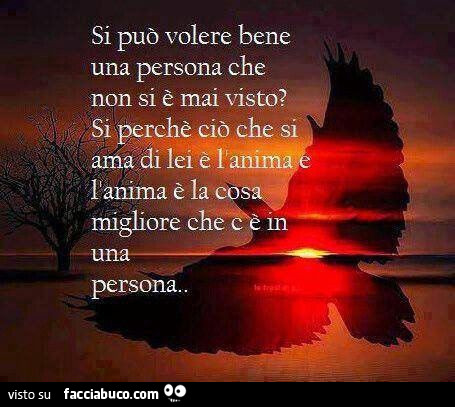 Si può volere bene una persona che non si è mai visto? Si perchè ciò ...