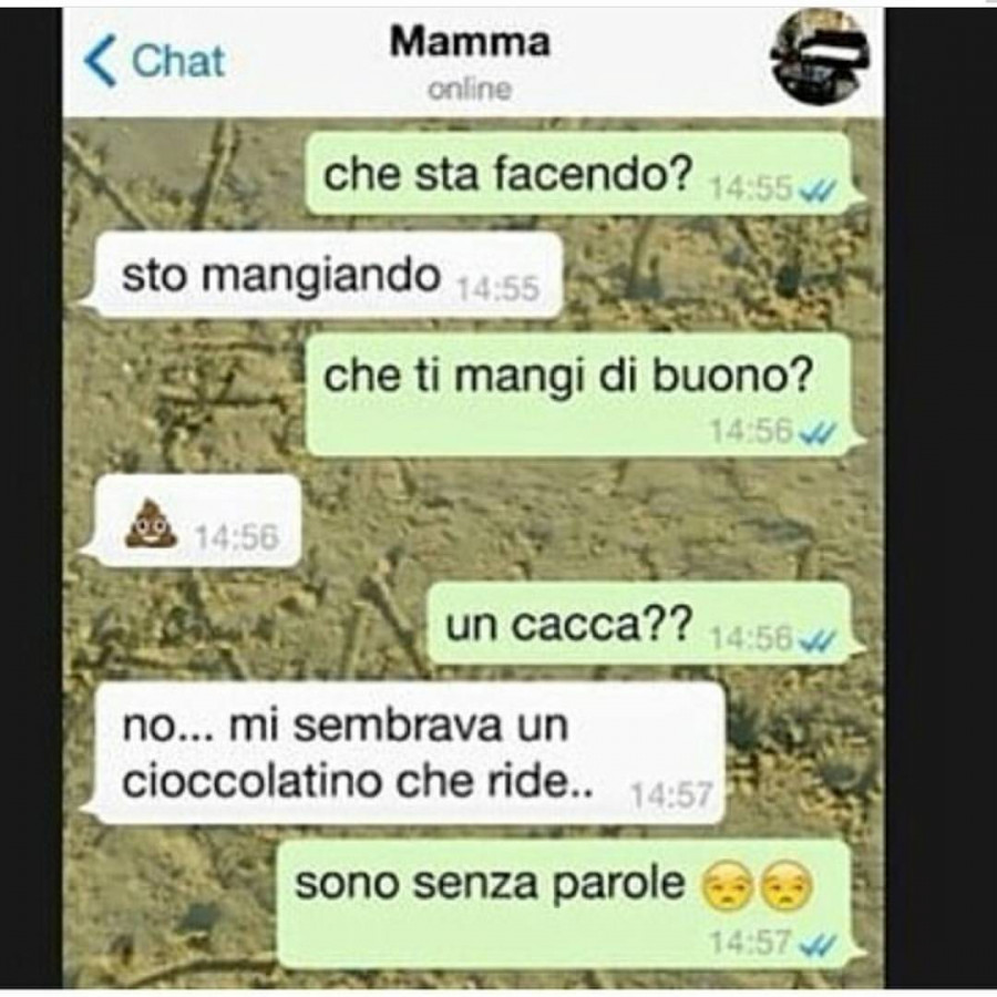 Tutti i meme sulla Cacca - Facciabuco.com
