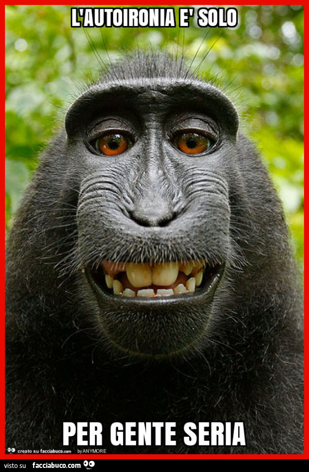 Scimmia che ride: L'autoironia è solo per gente seria - Facciabuco.com