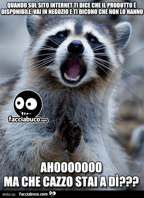 Tutti i meme sui Procioni - Facciabuco.com