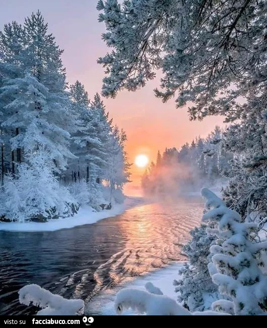 Bosco innevato attraversato dal fiume - Facciabuco.com