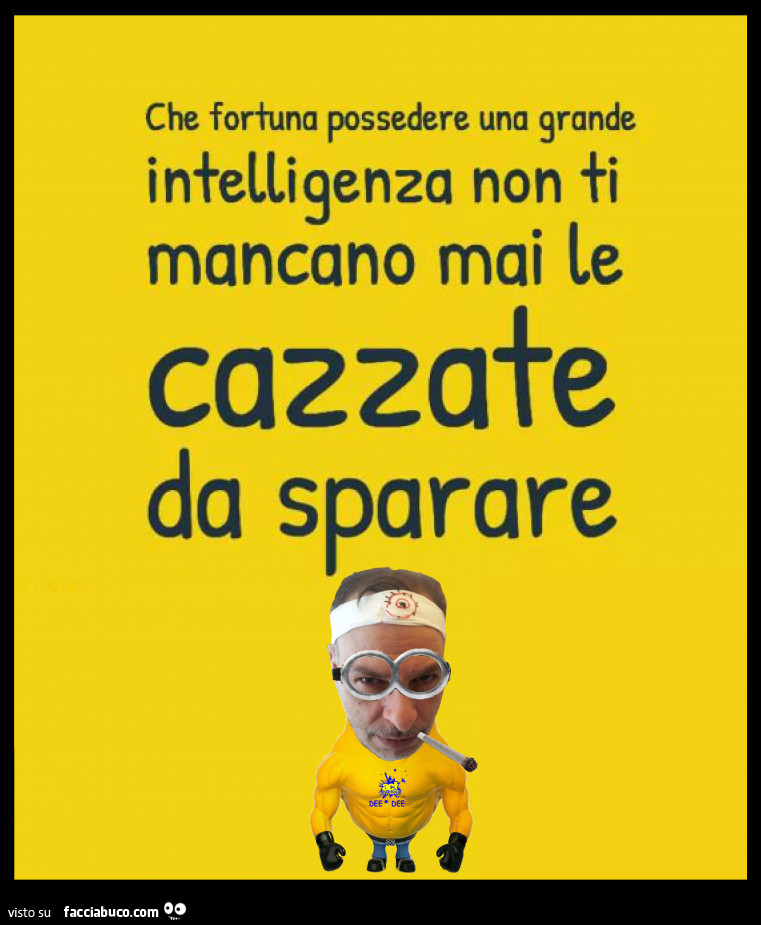 Che fortuna possedere una grande intelligenza non ti mancano mai te ...